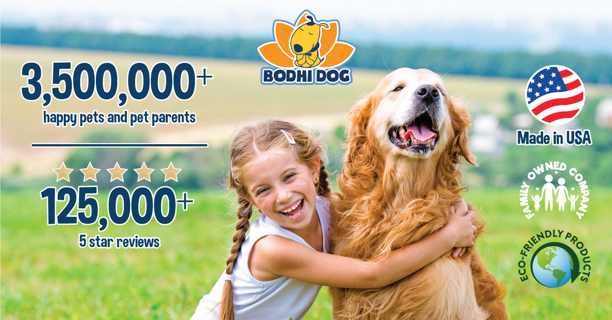 About us – Bodhi Dog