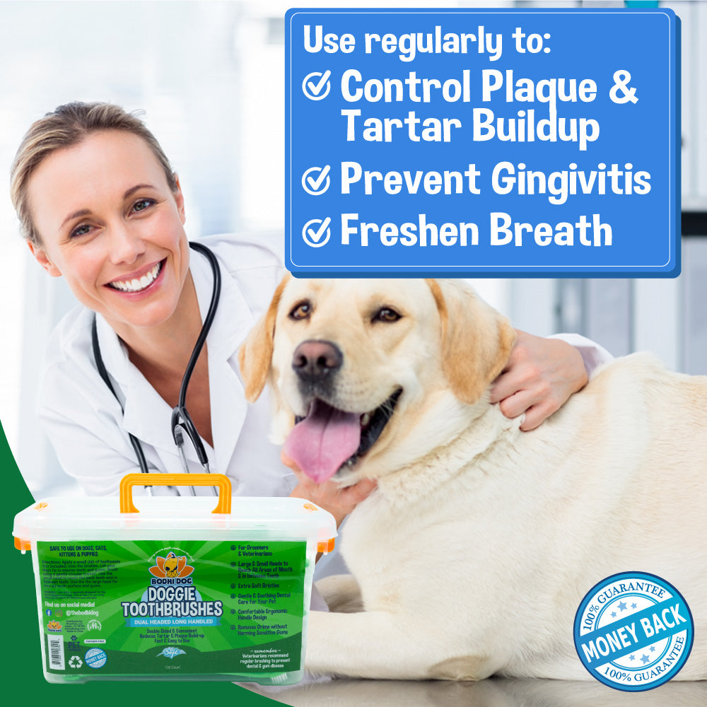 Dual Ended Long Toothbrushes 100 Pack - (Case of 18) – Bodhi Dog